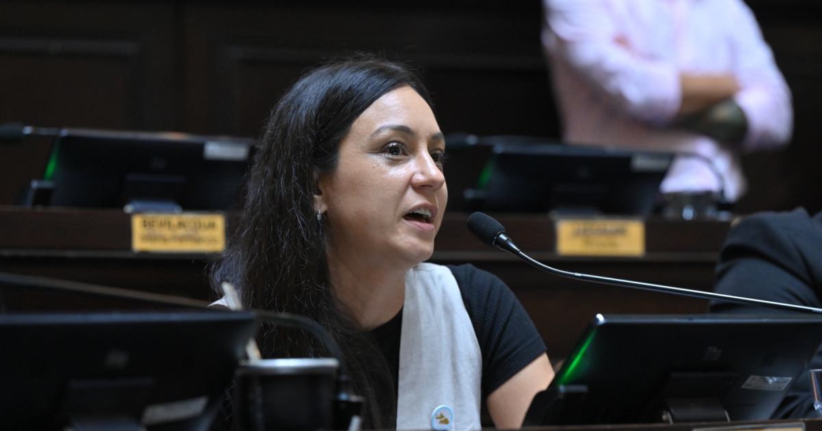Buscan que los intendentes sumen recursos alquilando banquinas para la ...